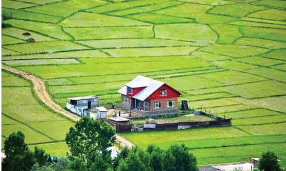 Govt-permits-use-of-Agricultural-land-to-non-agricultural-purposes.jpg