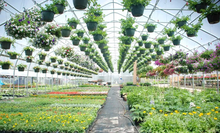 Greenhouse-Sheds.webp