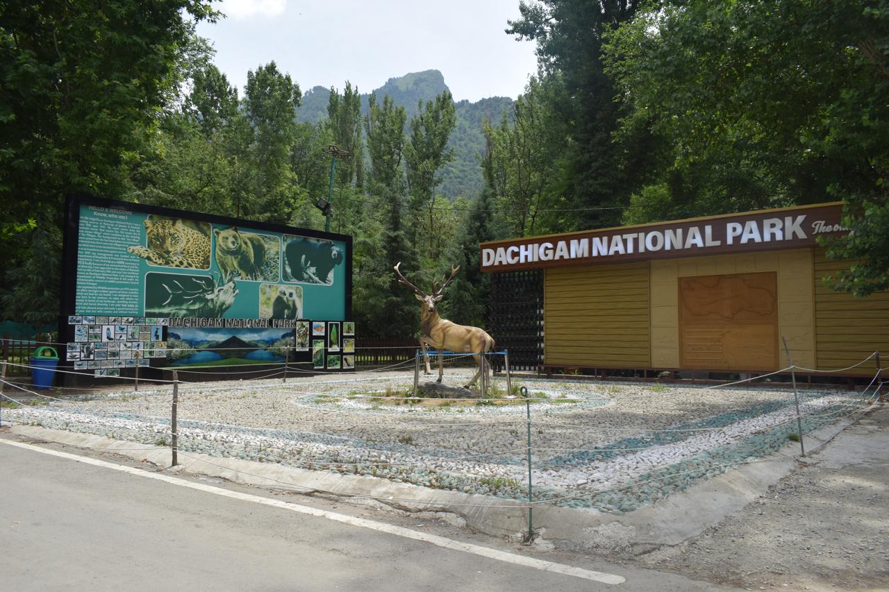 Dachigam-National-Park-named-best-managed-park-in-country.jpg