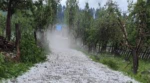 Hail Fury Ravages Kashmir Orchards, Growers Stare at Ruin